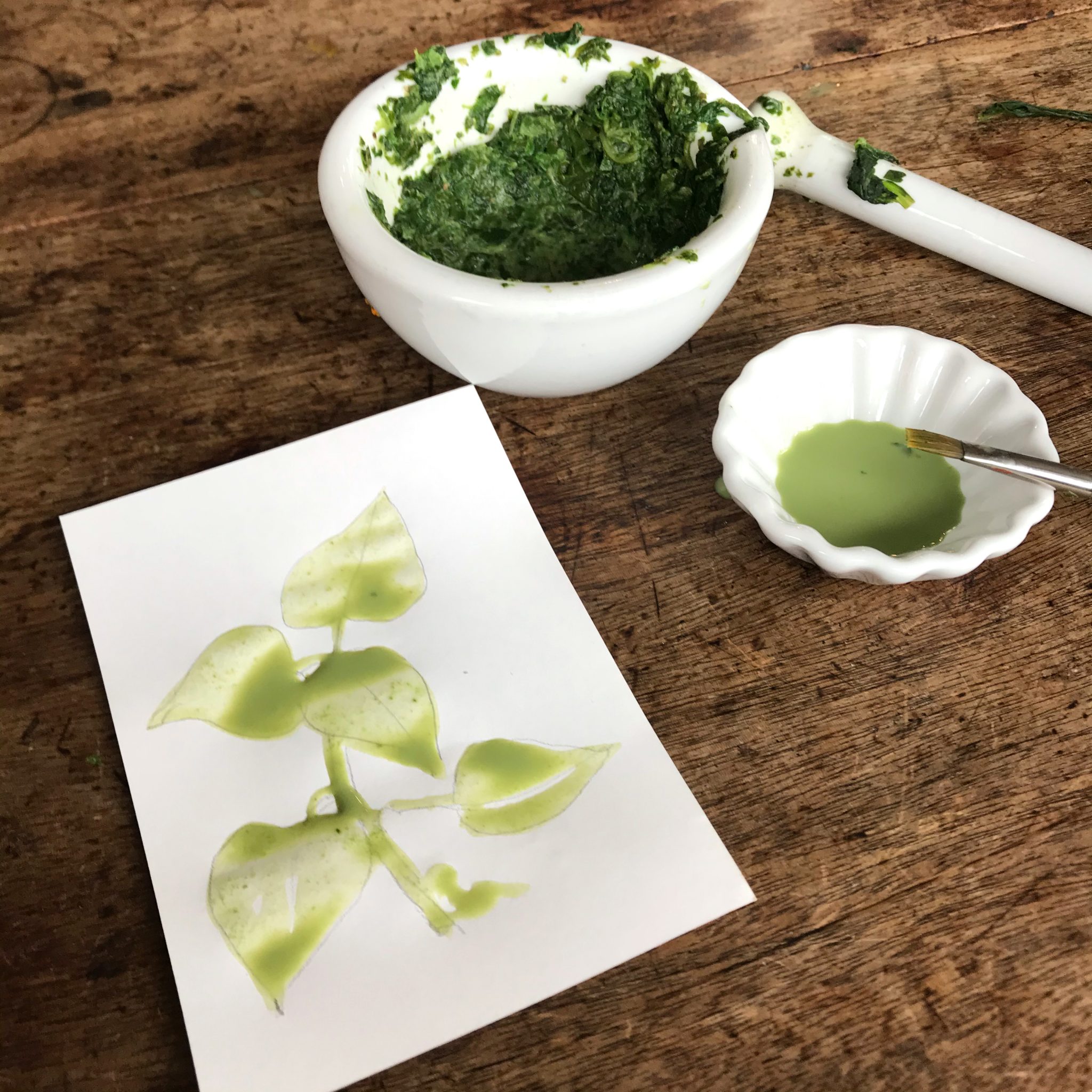 Kraut und Rüben – Malen mit Pflanzenfarben | Kinderkultur online